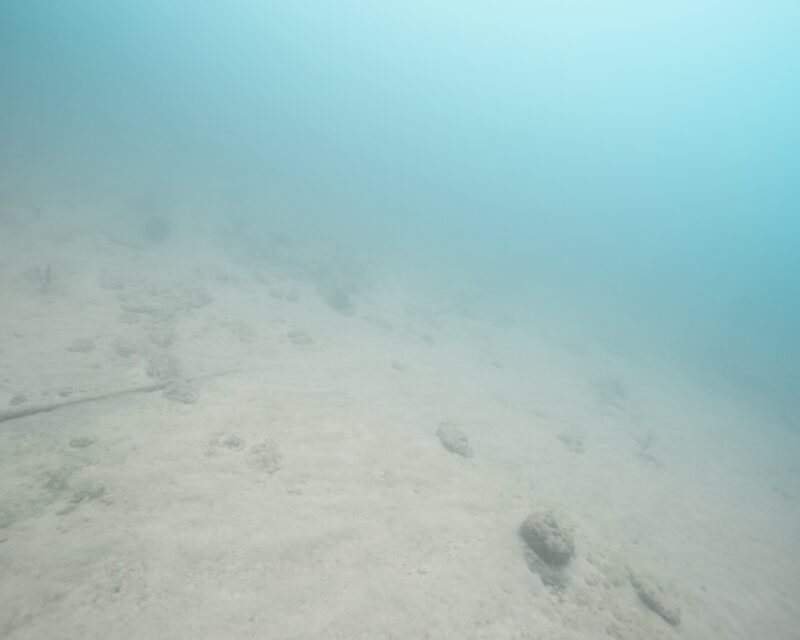 遠距離現在 Universal / Remote - 展覧会 - 広島市現代美術館 | Hiroshima MOCA