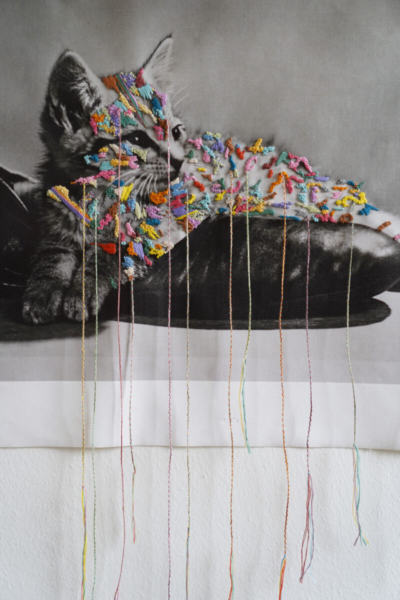 Hiroshima MoCA FIVE 23/24 - 展覧会 - 広島市現代美術館 | Hiroshima MOCA